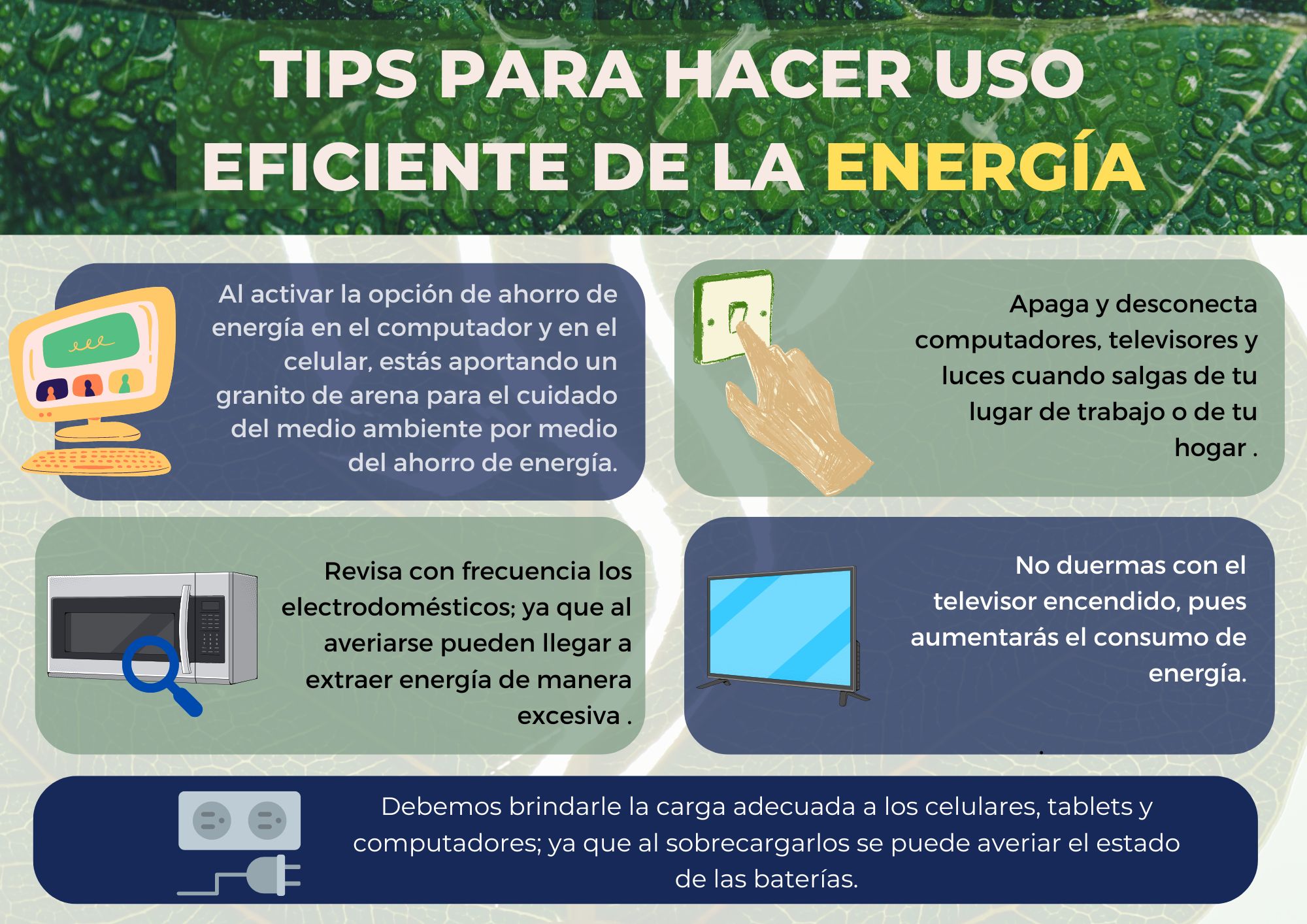 Home Uso Eficiente de la Energía – Sitios Especializados