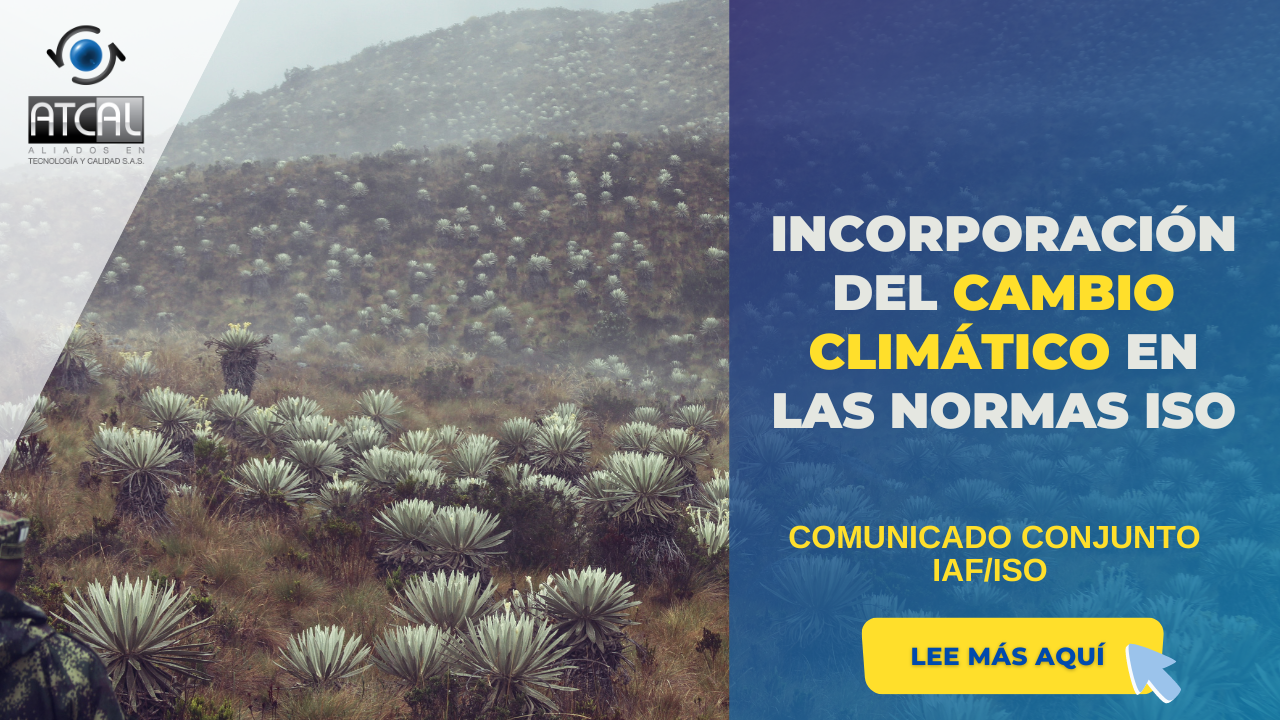 5 PROCEDIMIENTOS DE COMPRAS - IMPLEMENTANDO SGI